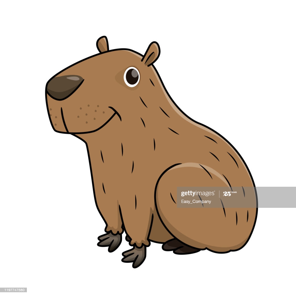 Capybara Wallpapers High Quality Download Free