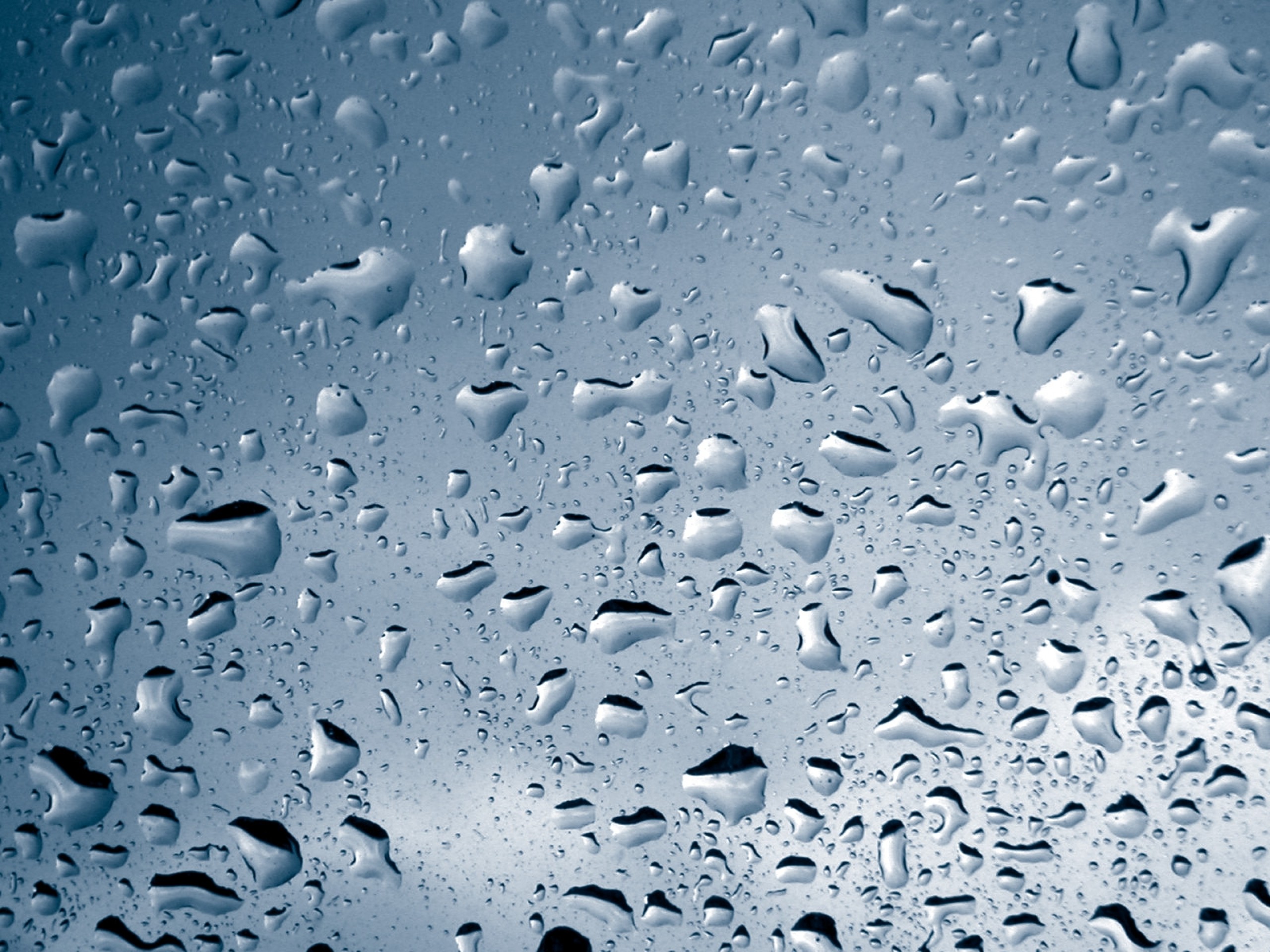 🔥 Free Download Raindrop Background Wallpaper by @michaelb65 | WallpaperSafari