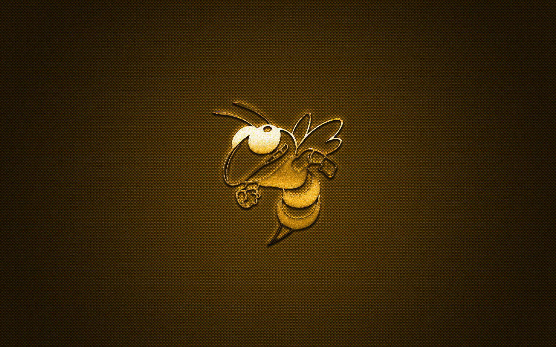 🔥 [40+] Bee Wallpapers | WallpaperSafari