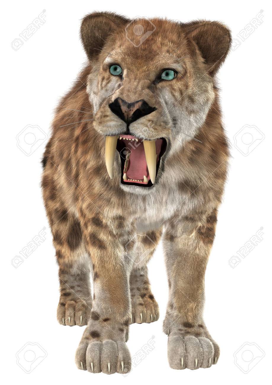 [29+] Smilodon Background - WallpaperSafari