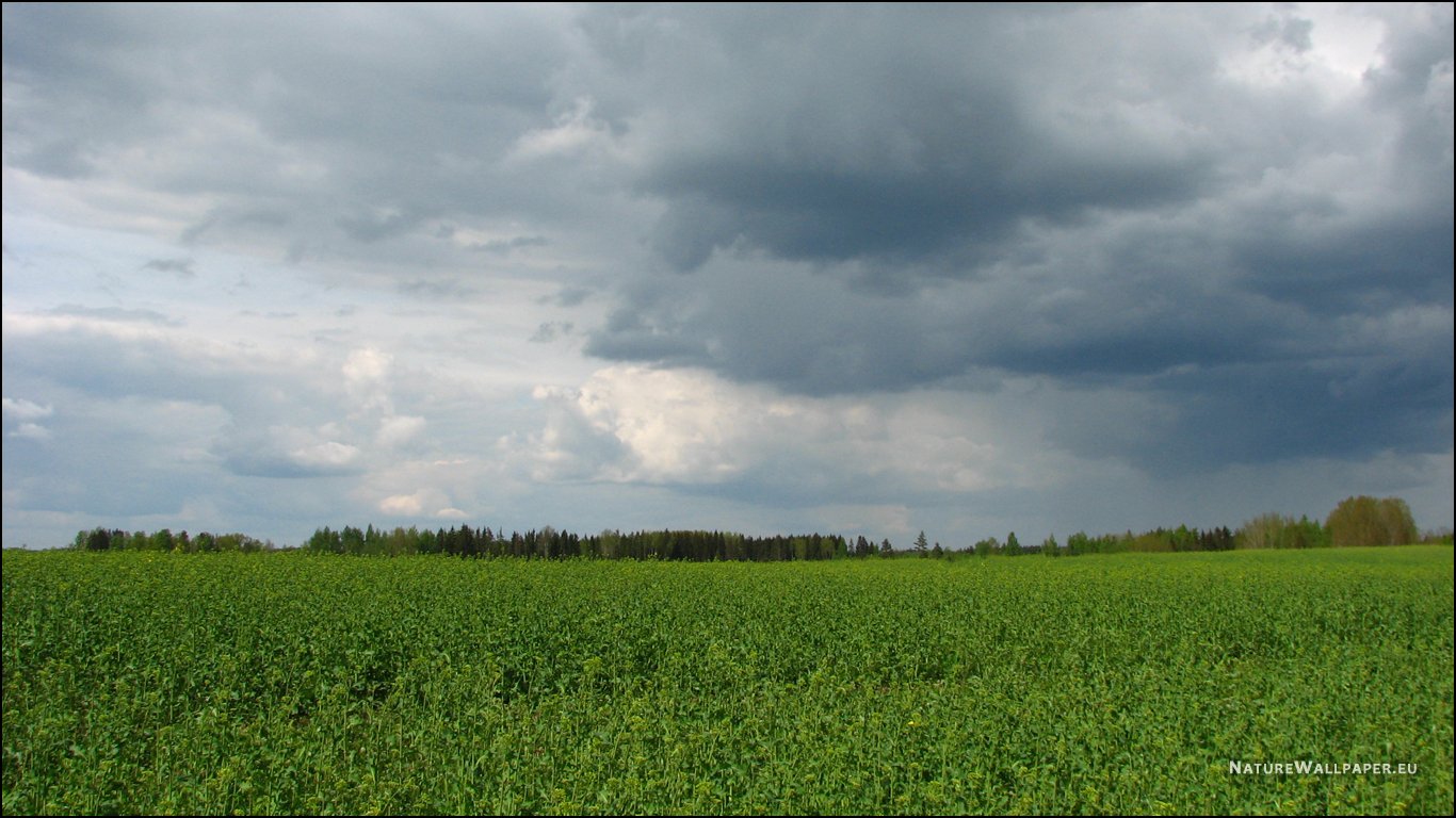 🔥 Free download that desktop background I think the default desktop ...