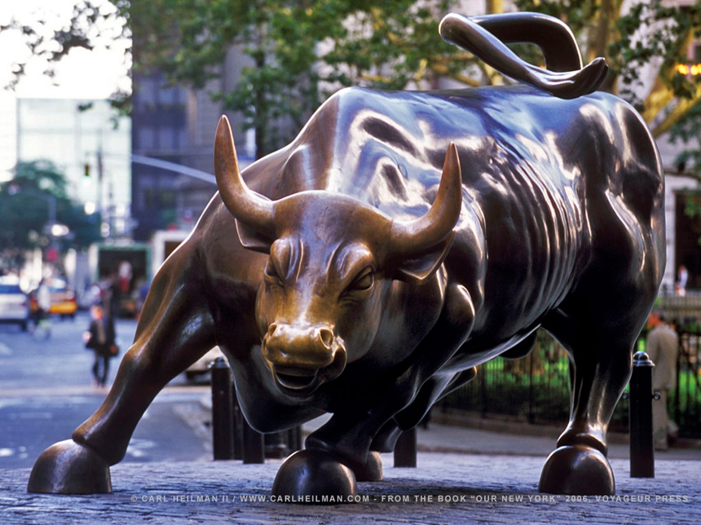 Free Download Wall Street Bull Wallpaper Wall Street Bull 1920x1080 Free Download Wall Street Bull Wallpaper Wall Street Bull 1920x1080