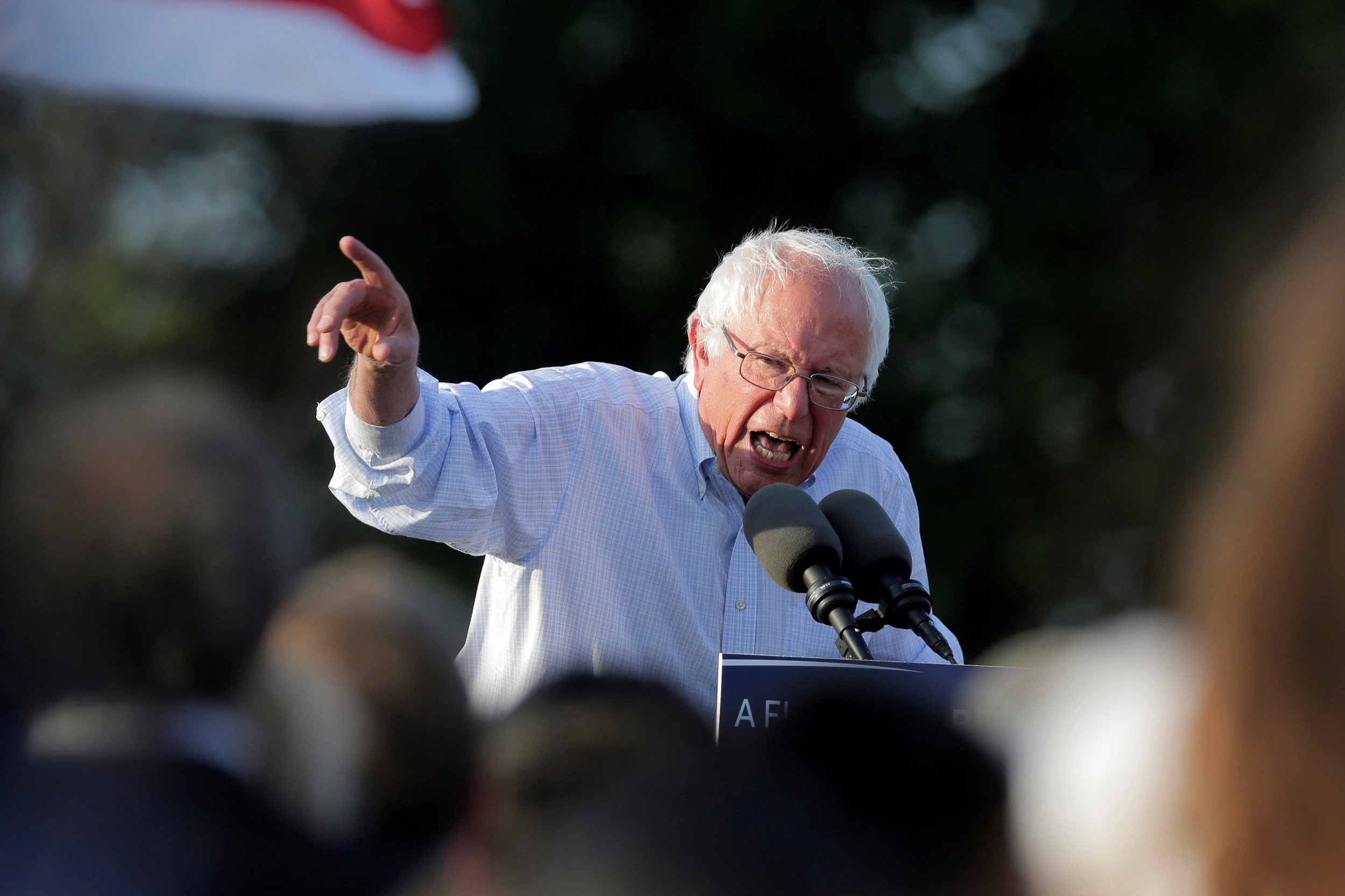 🔥 Free Download Bernie Sanders Wallpaper by @tracimorgan | WallpaperSafari
