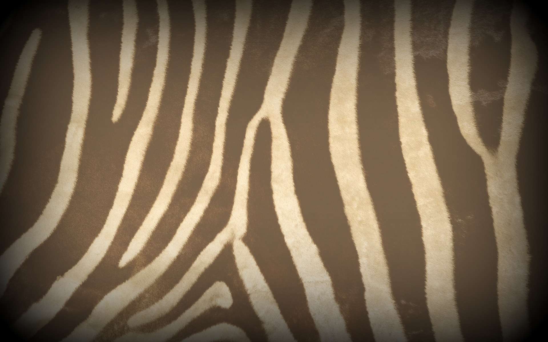 Free download BROWSE zebra print wallpaper for bedrooms design HD Photo ...