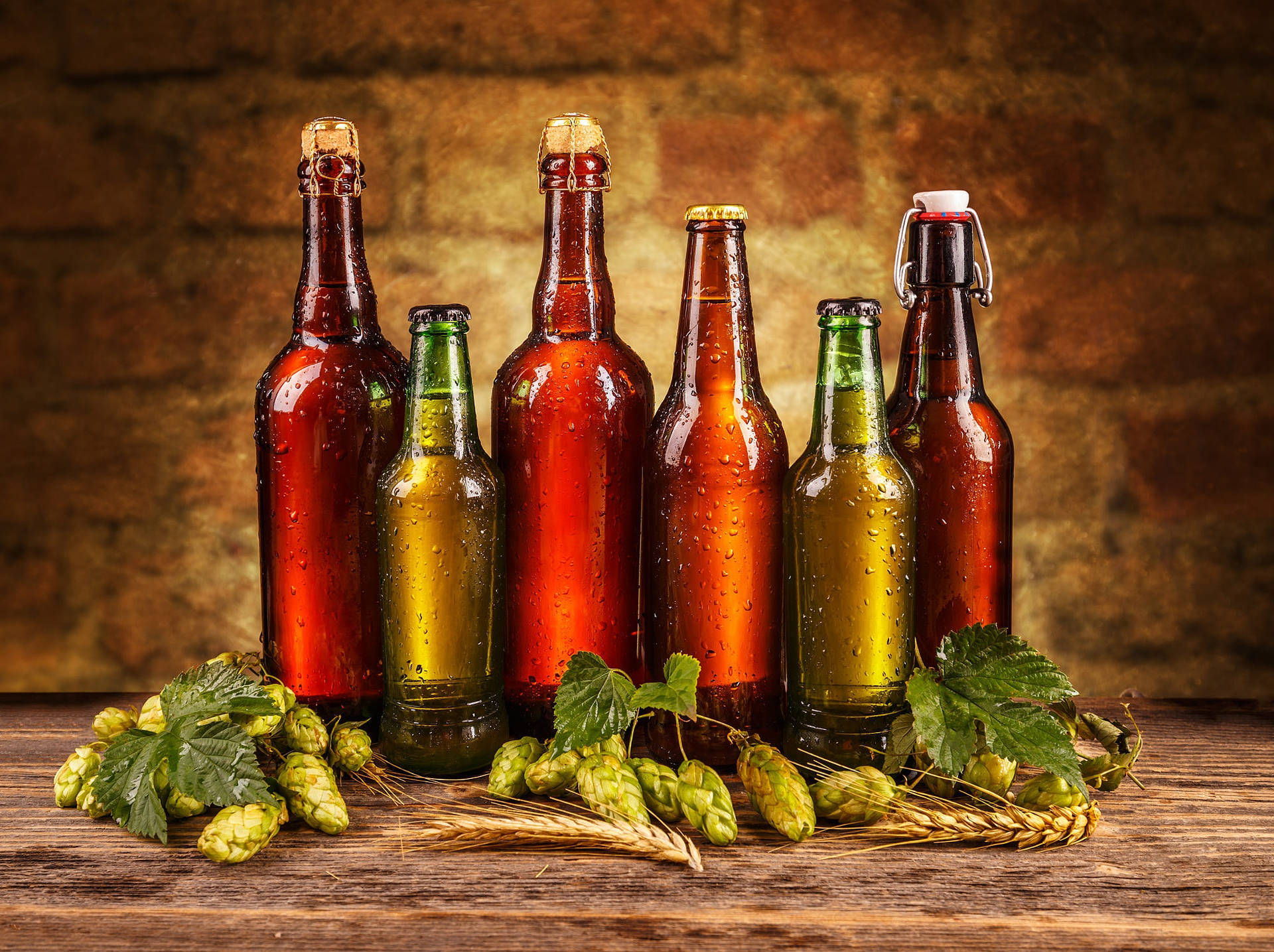 🔥 [60+] Beer Bottle Wallpapers | WallpaperSafari
