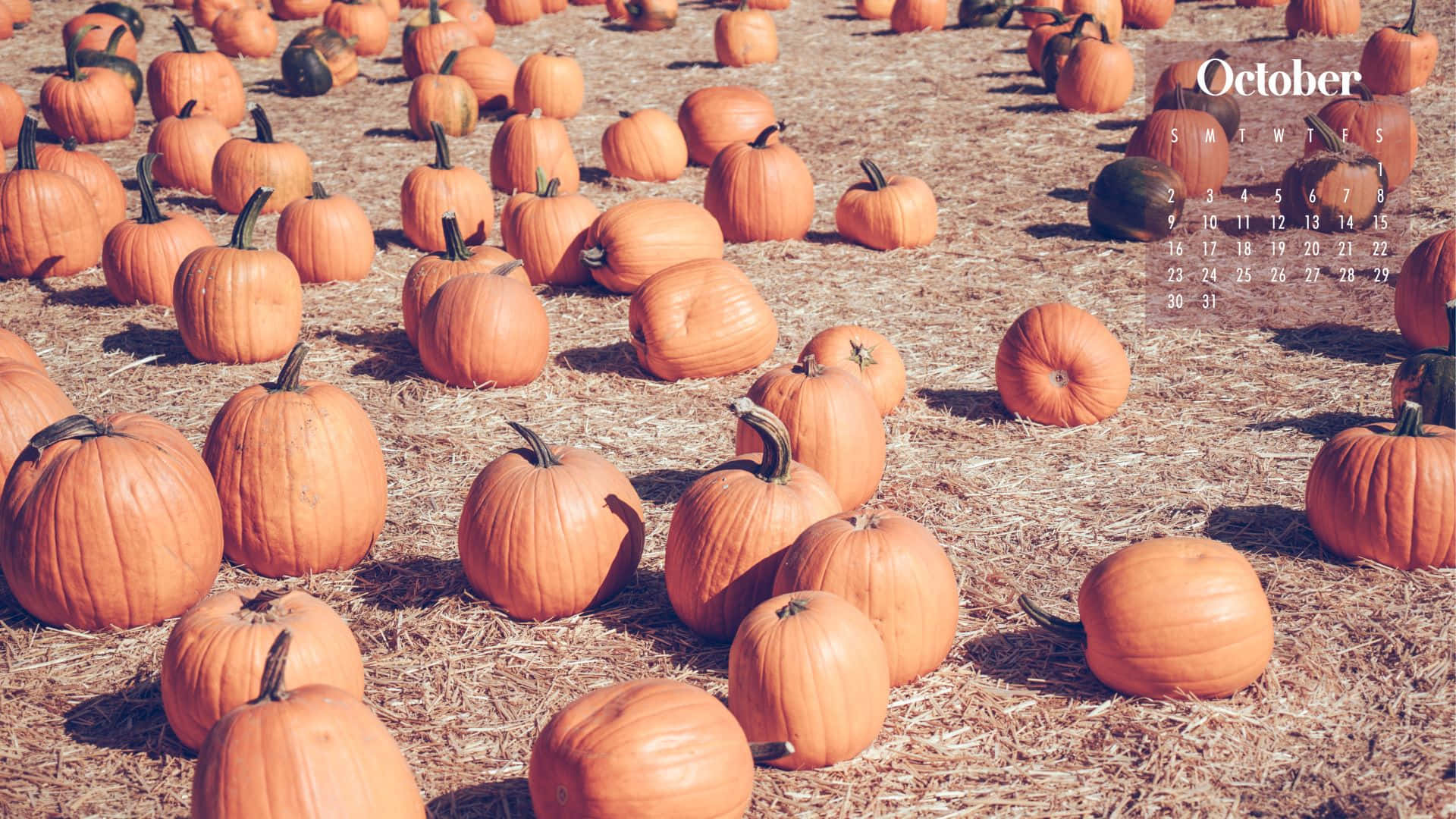 🔥 Free Download October Calendar Image Wallpaper by @rnixon ...