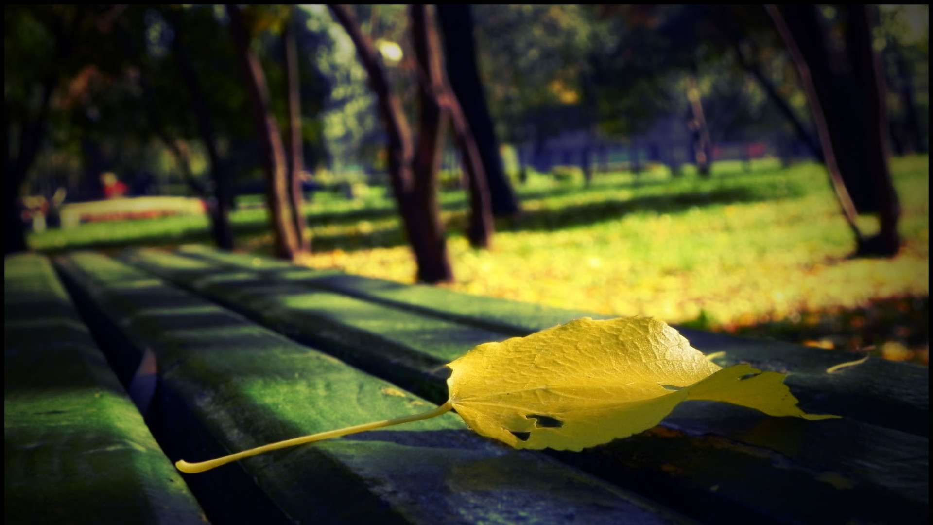 Free Download Hd Wallpapers For Mac 1920x1080 For Your Desktop Free Download Hd Wallpapers For Mac 1920x1080 For Your Desktop