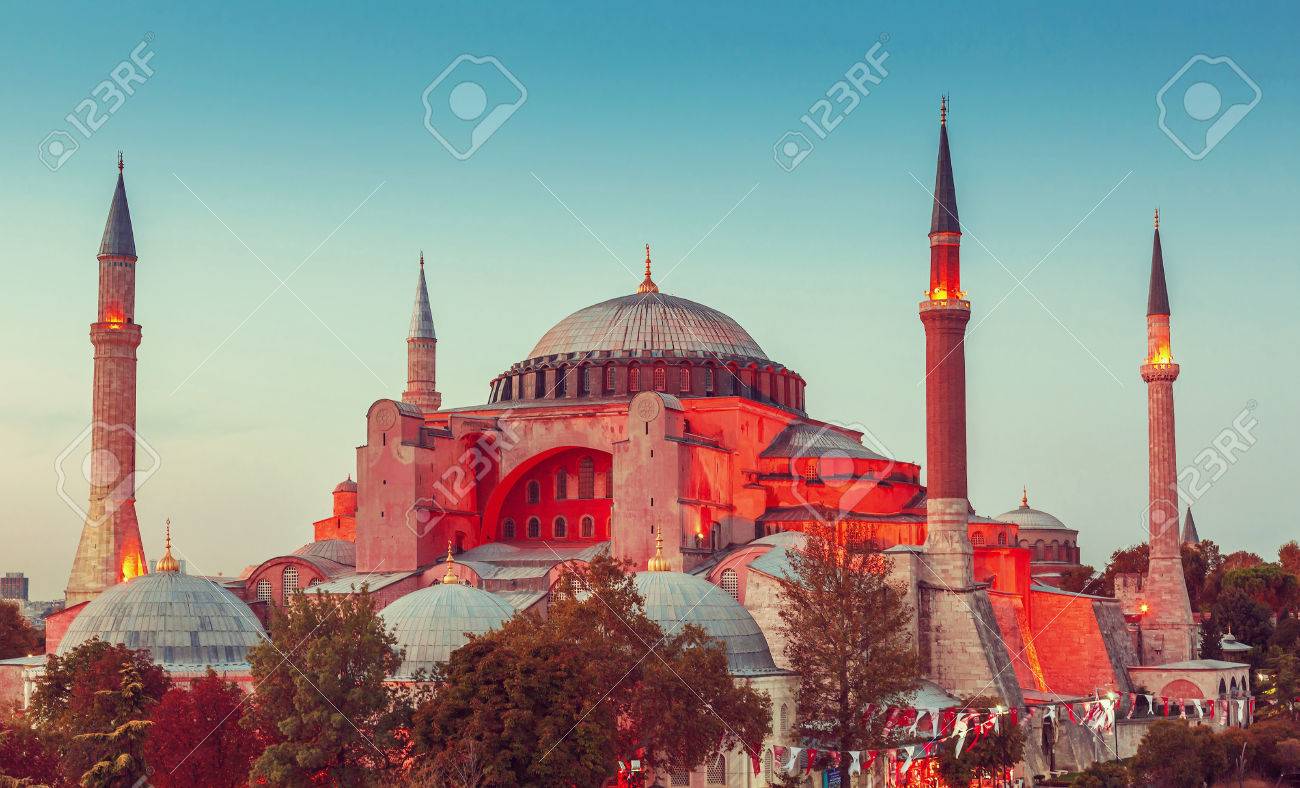 [37+] Sophia Background | WallpaperSafari.com