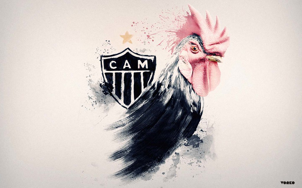 🔥 [40+] Galo Wallpapers | WallpaperSafari