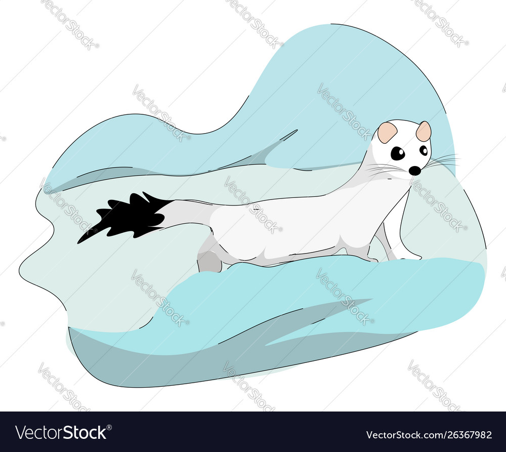 Free download Stoat photo WP12079 [1459x899] for your Desktop, Mobile ...