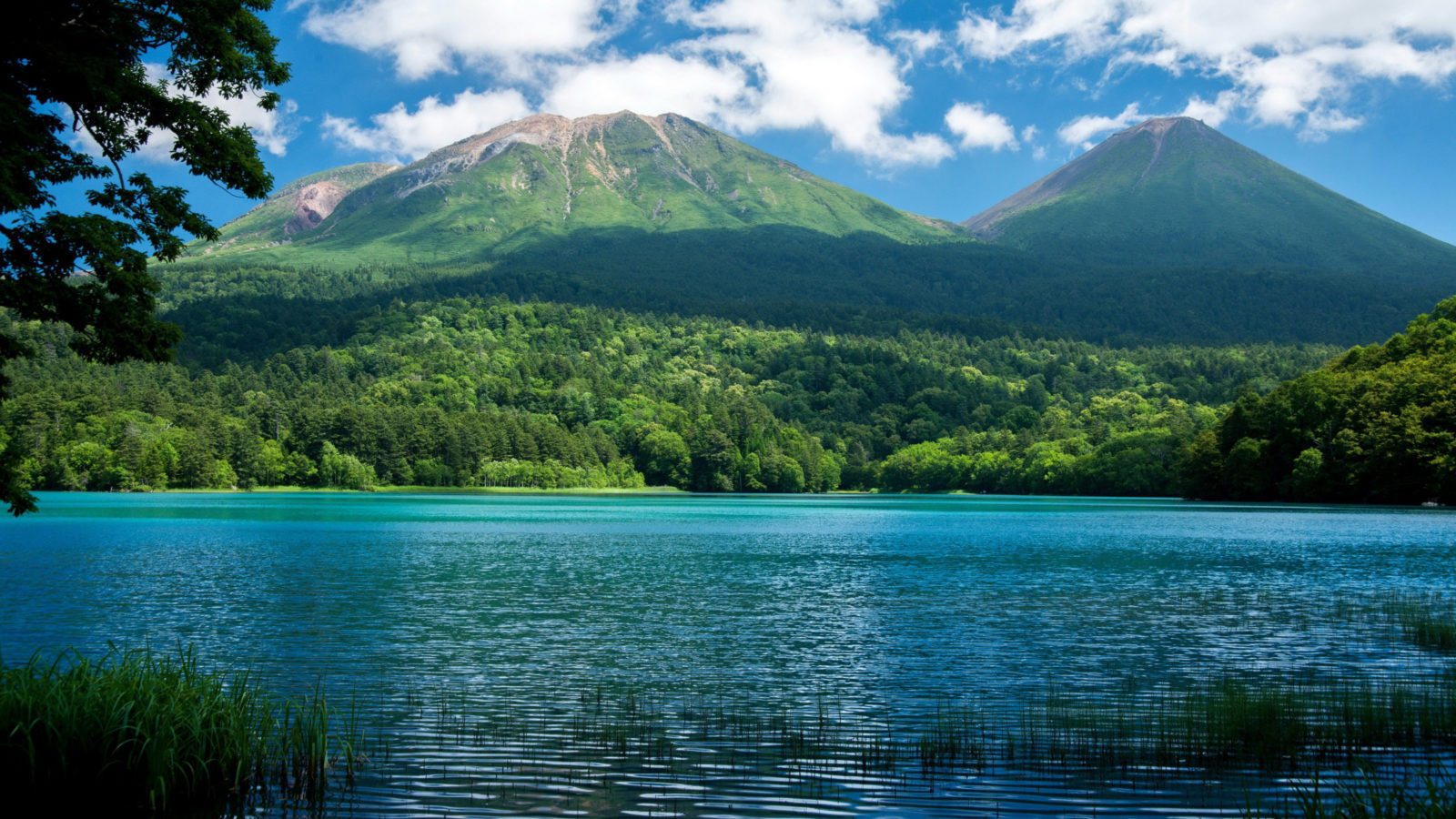 Free Download 171 Nature Wallpaper Examples For Your Desktop Background 