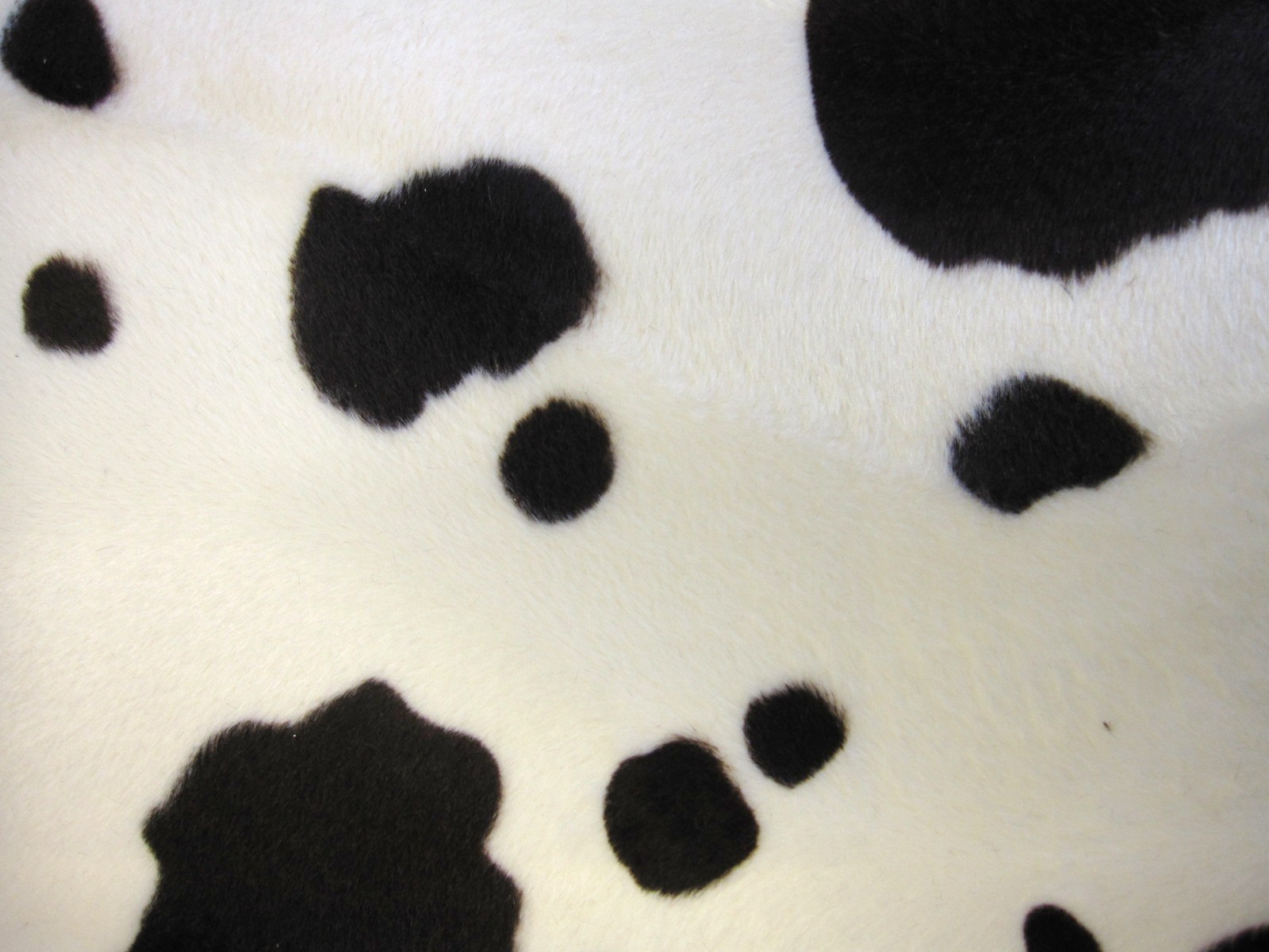  48 Brown Cow Print Wallpaper WallpaperSafari
