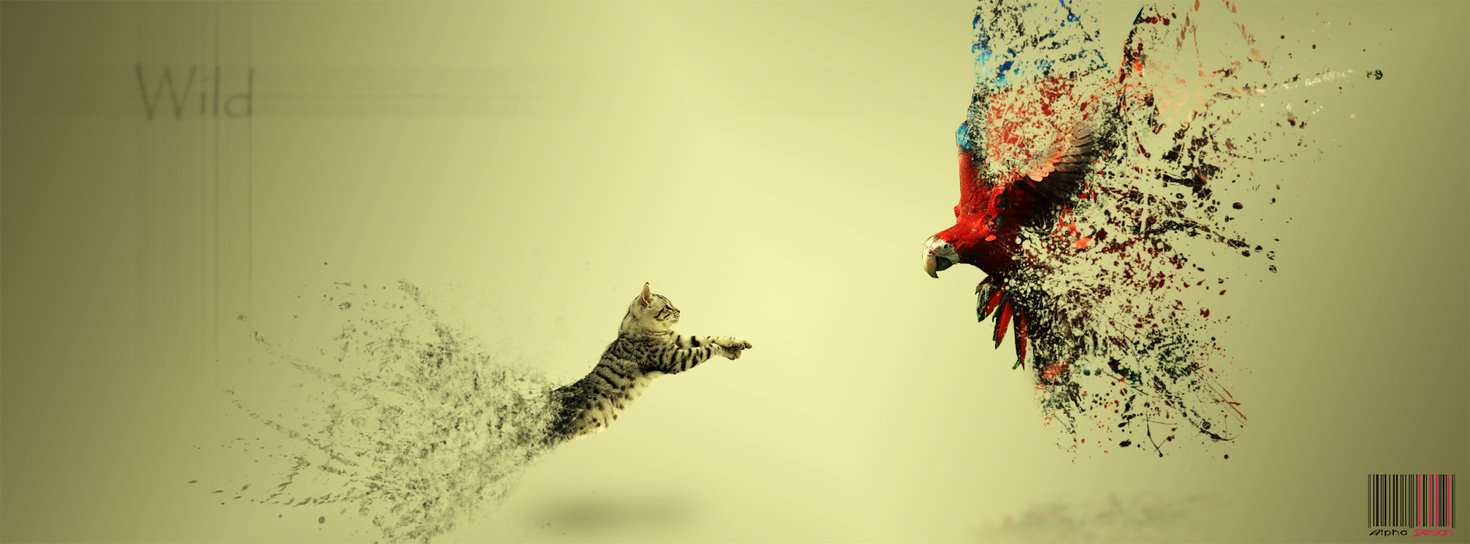 Wallpaper For FB Cover WallpaperSafari