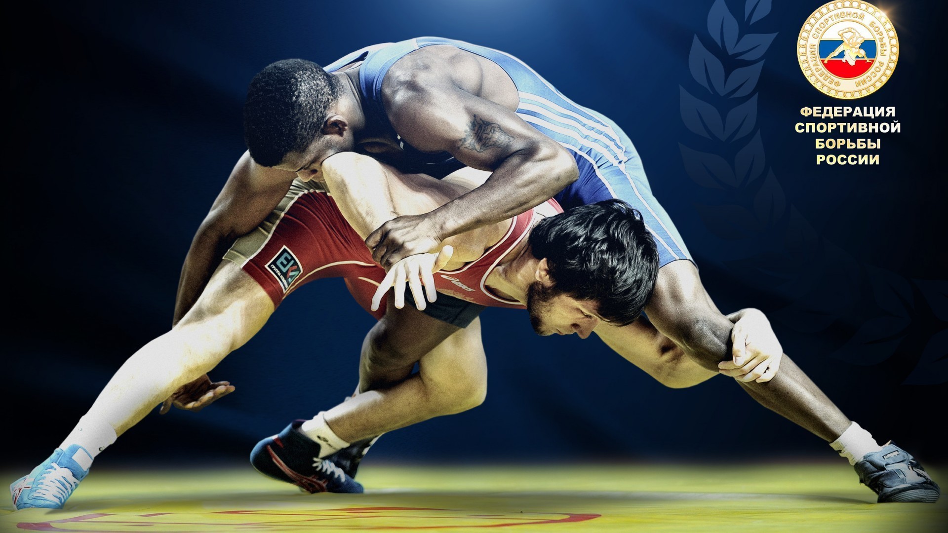 🔥 [60+] Wrestling 4k Wallpapers | WallpaperSafari