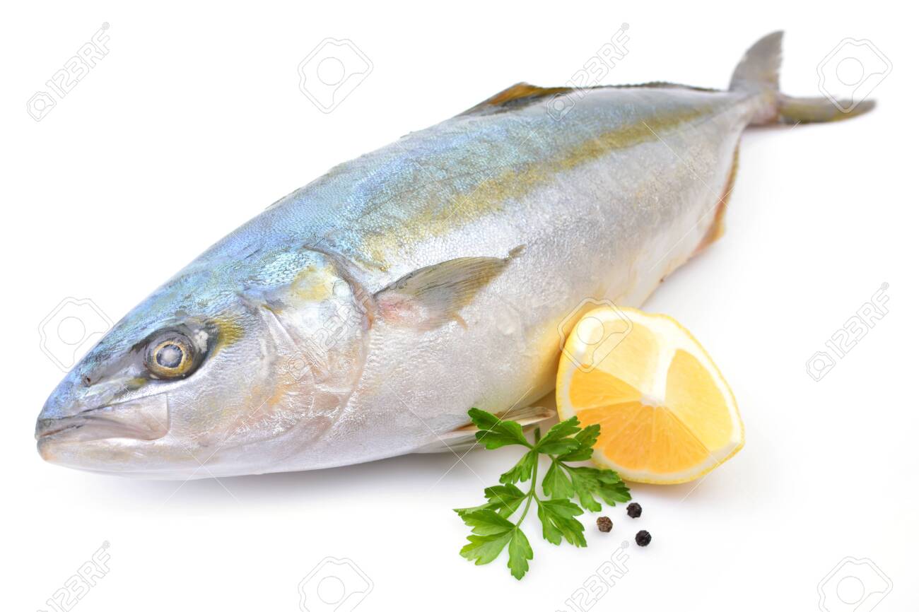 🔥 [32+] Amberjack Background | WallpaperSafari