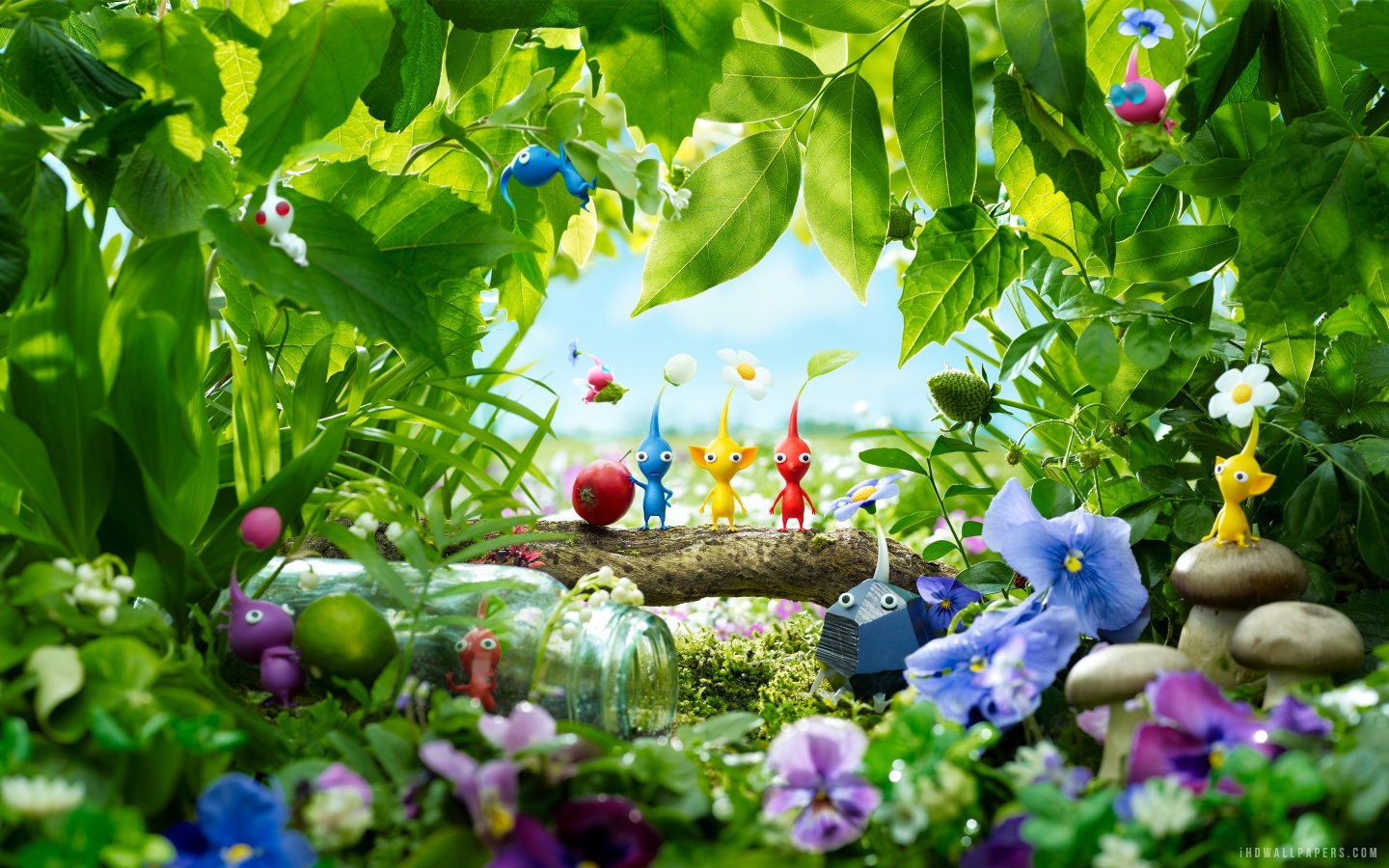 Free Download HD Resolutions 1280 X 720 1366 X 768 1600 X 900 1920 X Free Download HD Resolutions 1280 X 720 1366 X 768 1600 X 900 1920 X