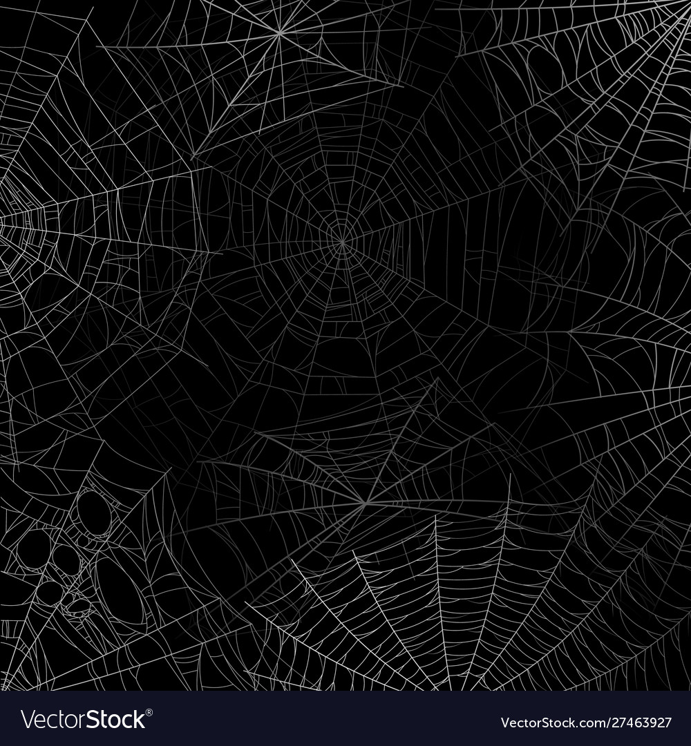 🔥 [24+] Cobweb Background | WallpaperSafari