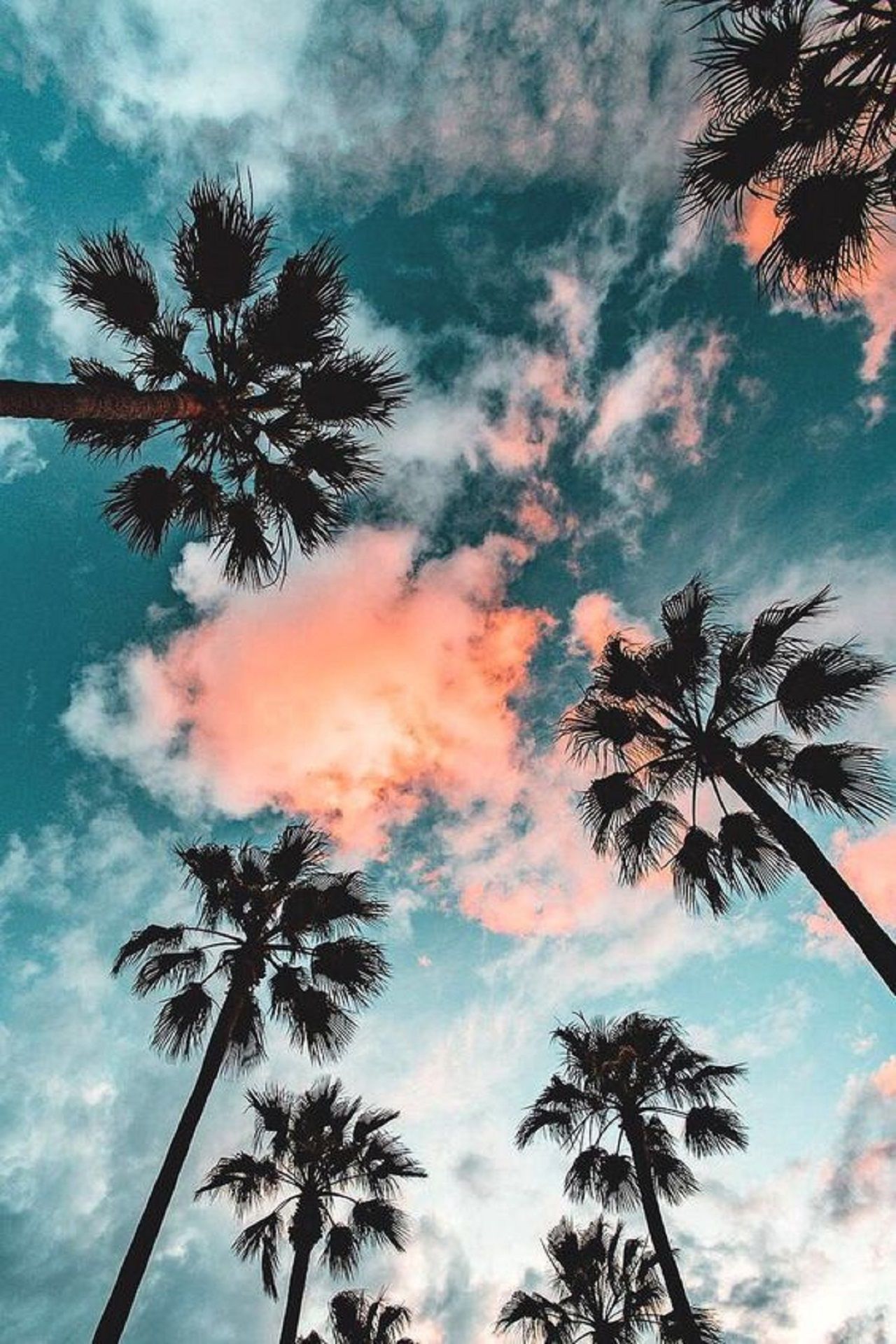 🔥 Free Download California Aesthetic Wallpaper by @patrickb ...