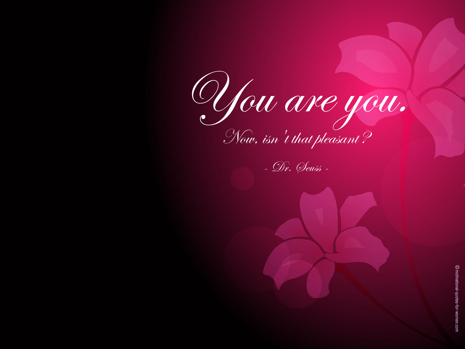 Free Download Funny Inspirational Quotes Wallpaper The Art Mad
