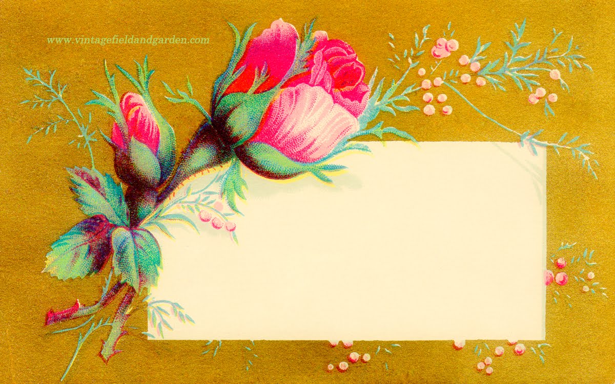 Dwayne Sharp Wallpaper Collection on WallpaperSafari