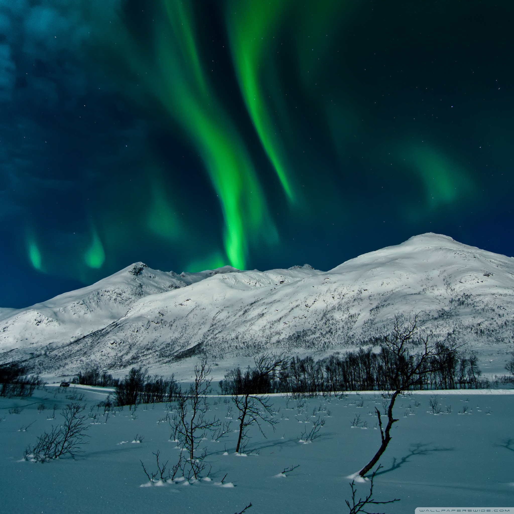 🔥 Free Download Aurora Borealis Tromso Norway Ultra Hd Desktop ...