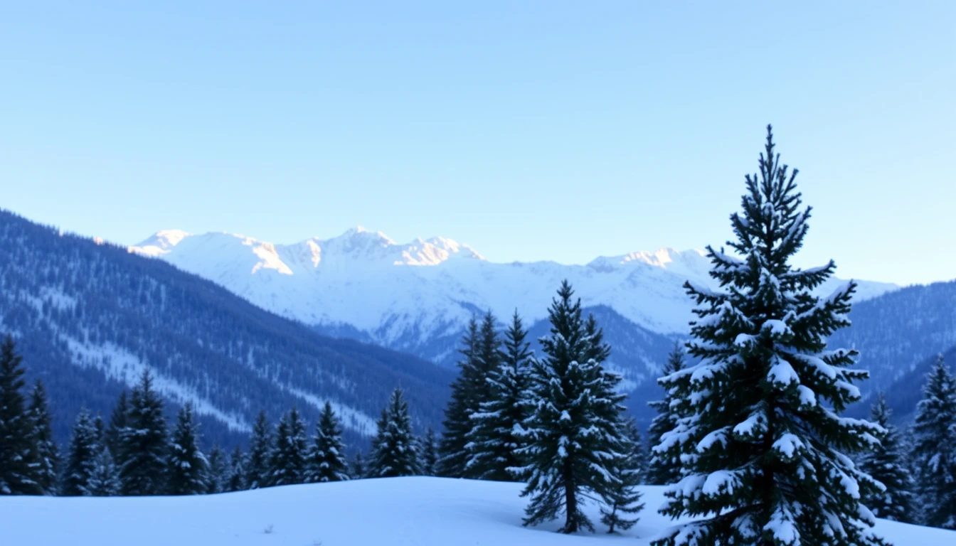 🔥 Free Download Winter Mountain Wallpaper by @samanthabrooks | WallpaperSafari