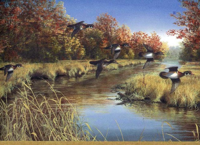 Free download Back Gallery For rubber duck and wallpaper border ...