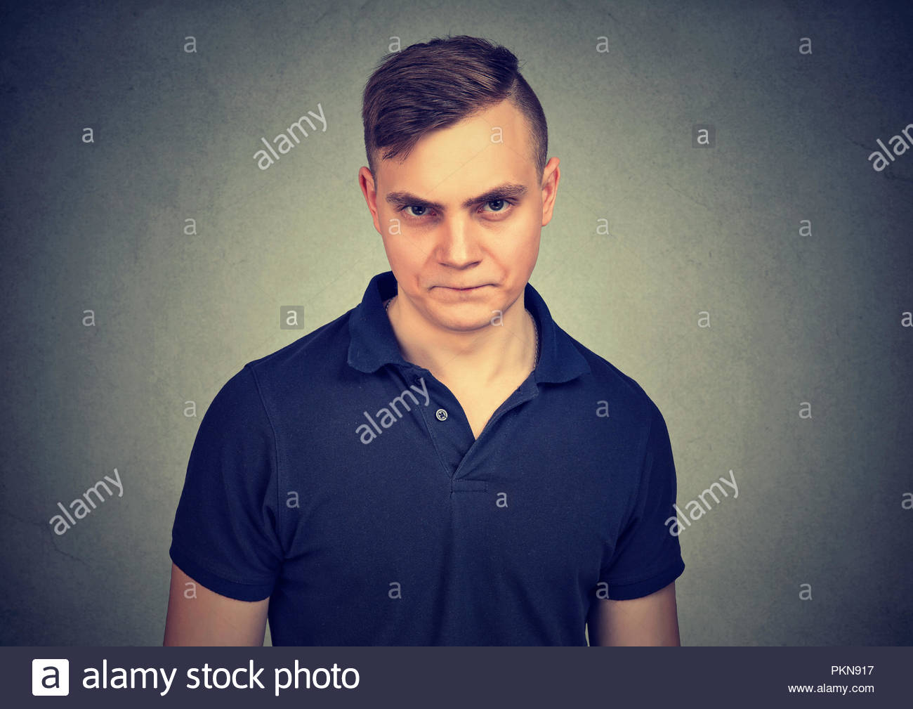 Free download Amazoncom Humor Decor Photography Backdrops Irritating ...