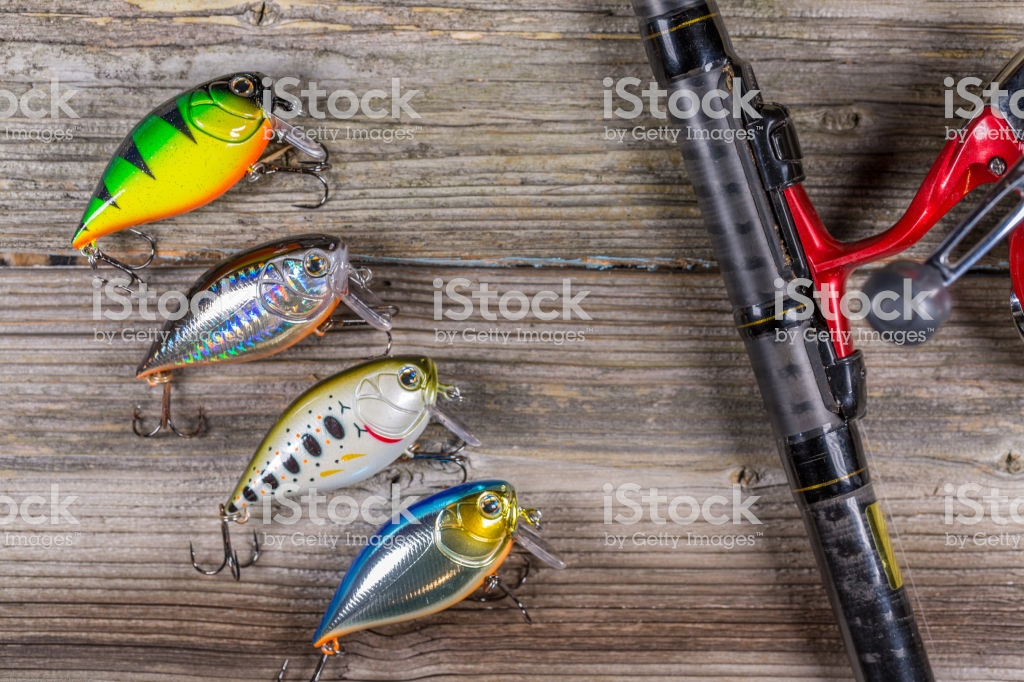 [38+] Lure Backgrounds - WallpaperSafari