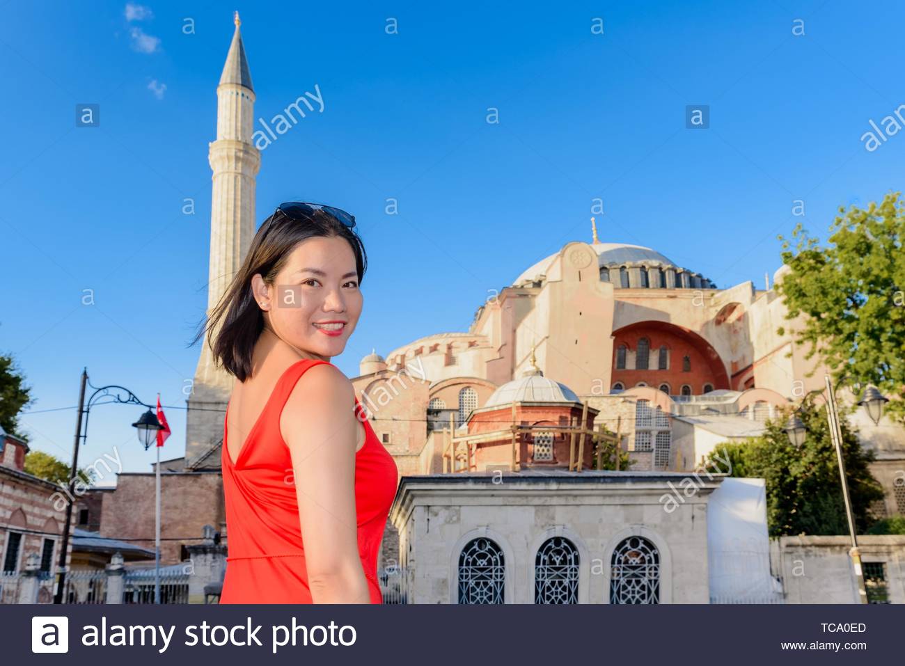 🔥 [37+] Sophia Background | WallpaperSafari