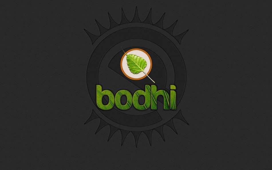 🔥 Free Download Wallpaper Bodhi Linux Grey by @matthewn | WallpaperSafari