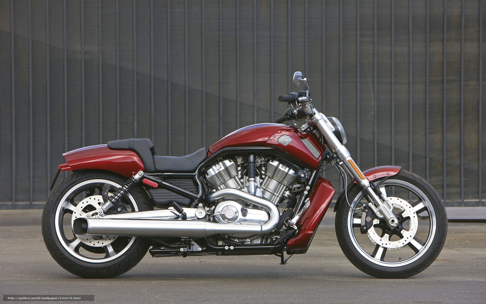 🔥 Free Download Harley Davidson Vrscf V Rod Muscle Pic Onlymotorbikes ...