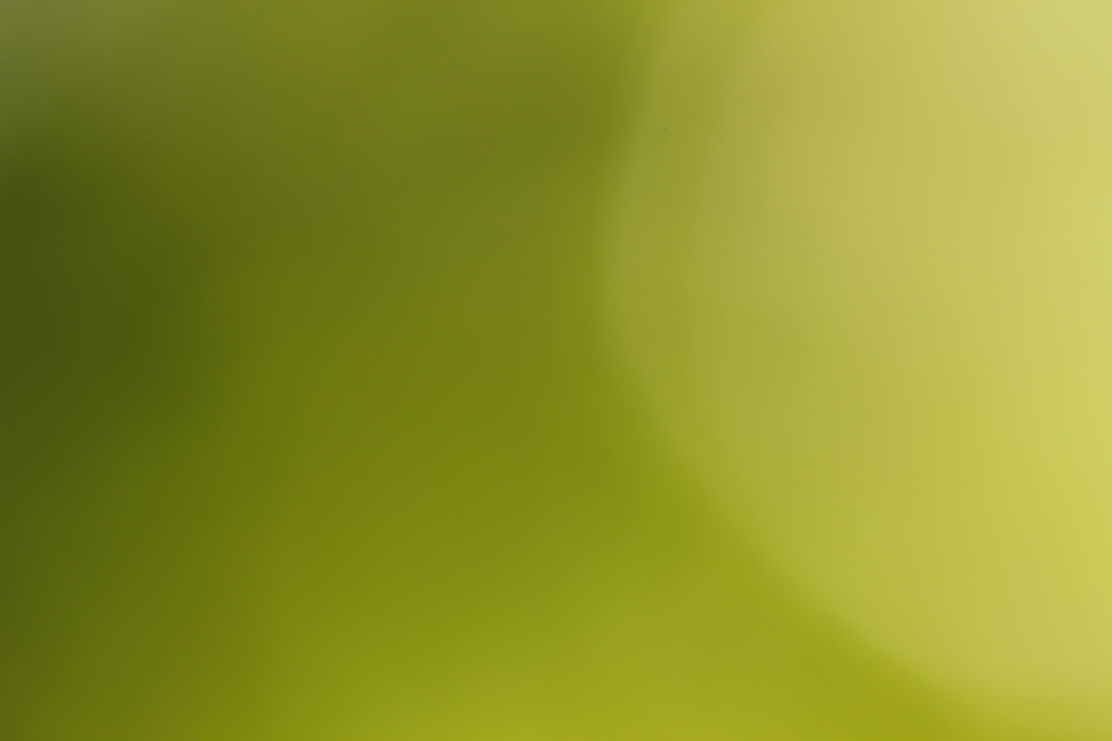 Free Download Website Background Test 1024x768 For Your Desktop