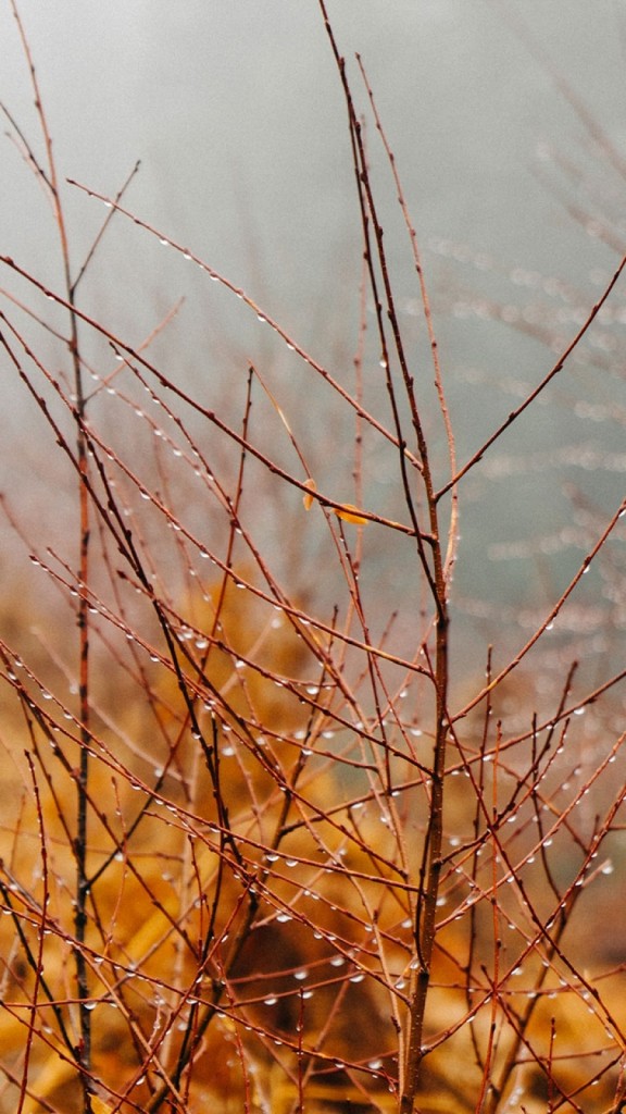 🔥 [50+] 900X1600 Wallpapers | WallpaperSafari