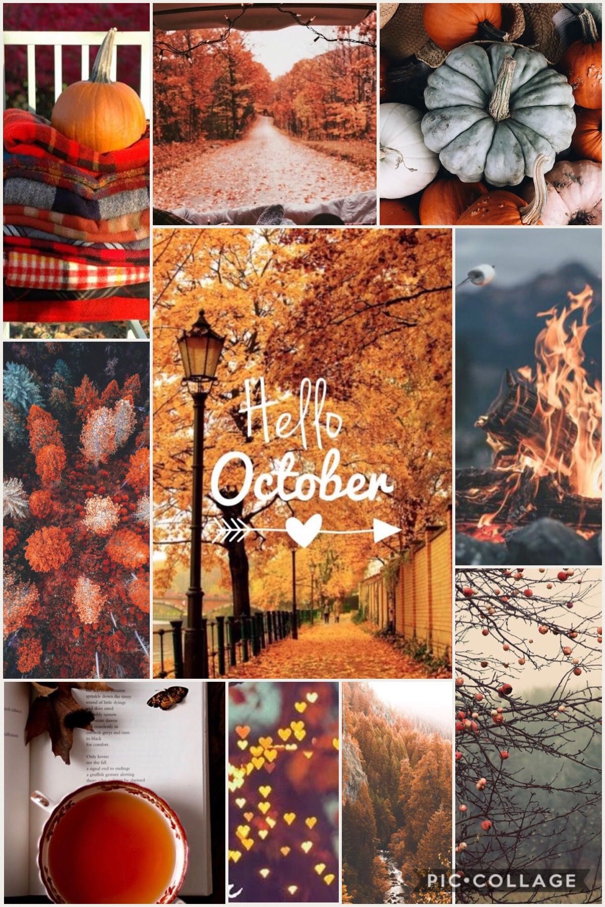 🔥 [60+] October Fall Wallpapers | WallpaperSafari