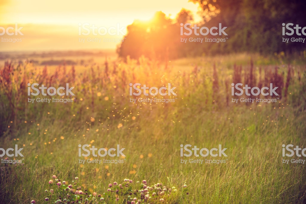 [44+] Afternoon Background - WallpaperSafari