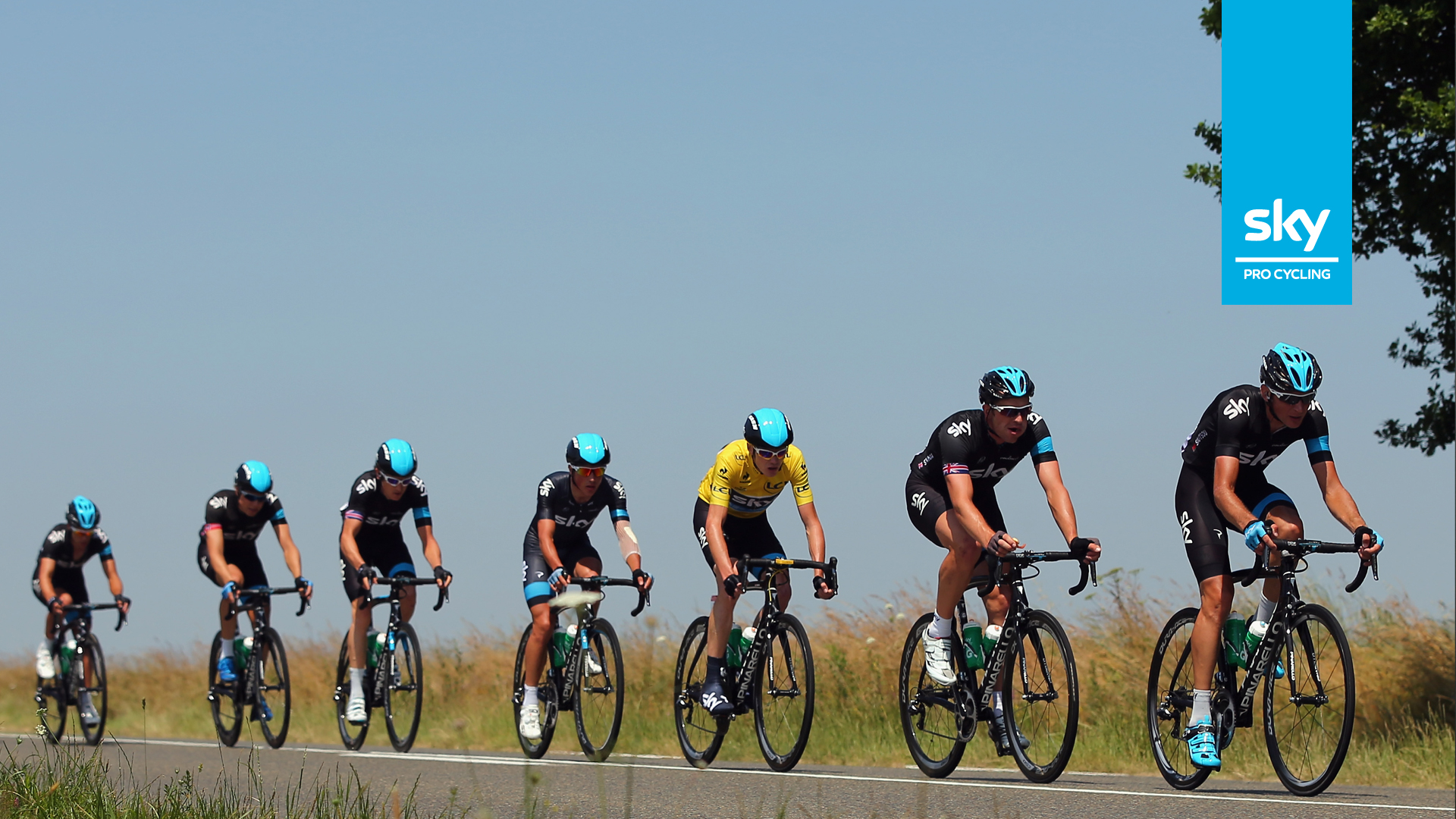  50 Team Sky Wallpapers WallpaperSafari