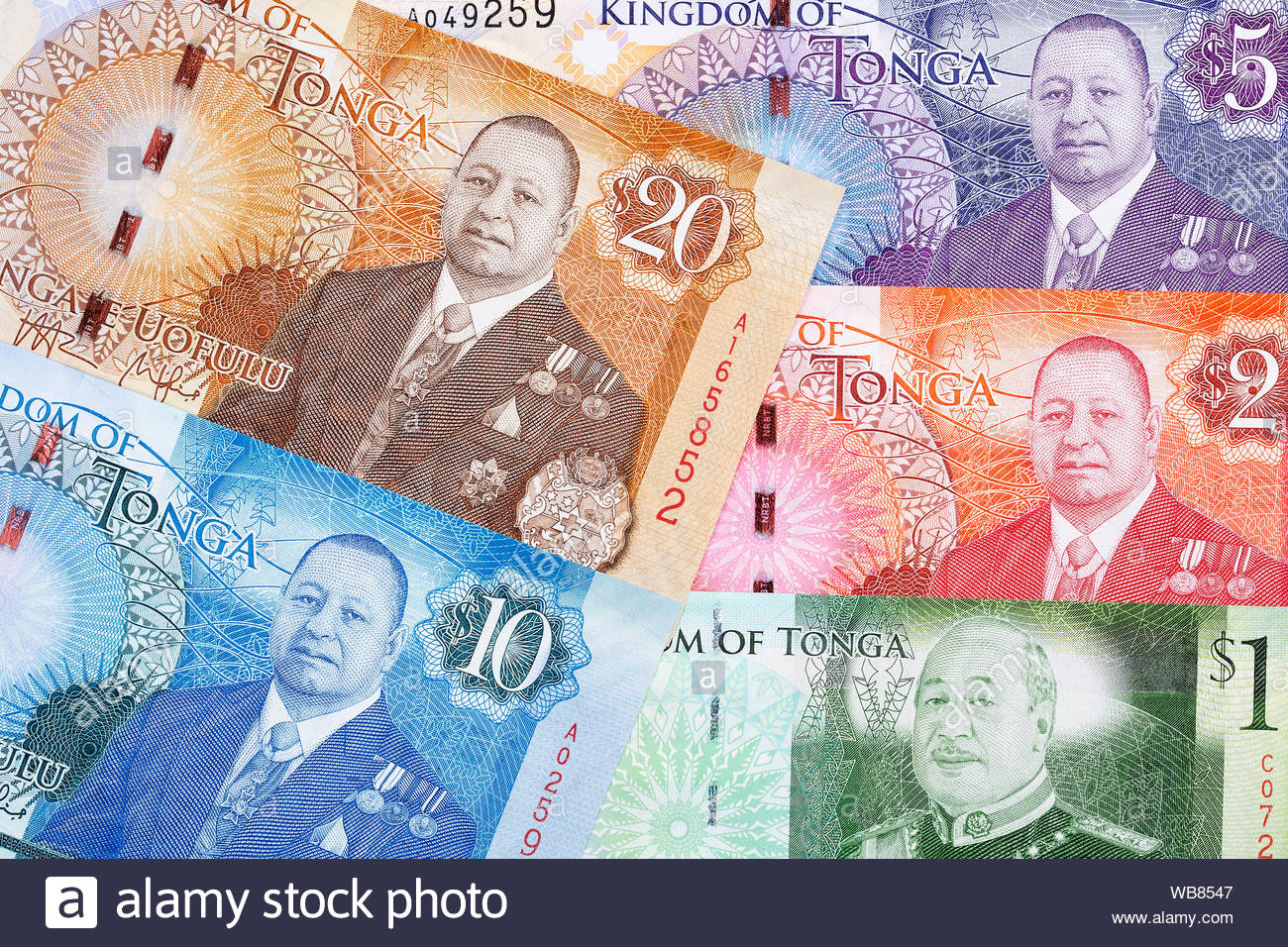 Free download Free download Tongan flag My Cultures Who I Am in 2019 ...