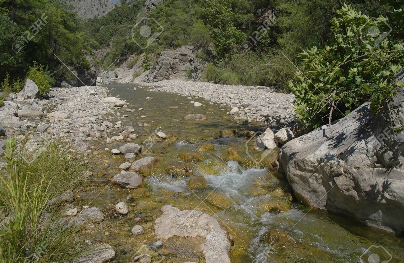 [32+] Riverbank Backgrounds | WallpaperSafari