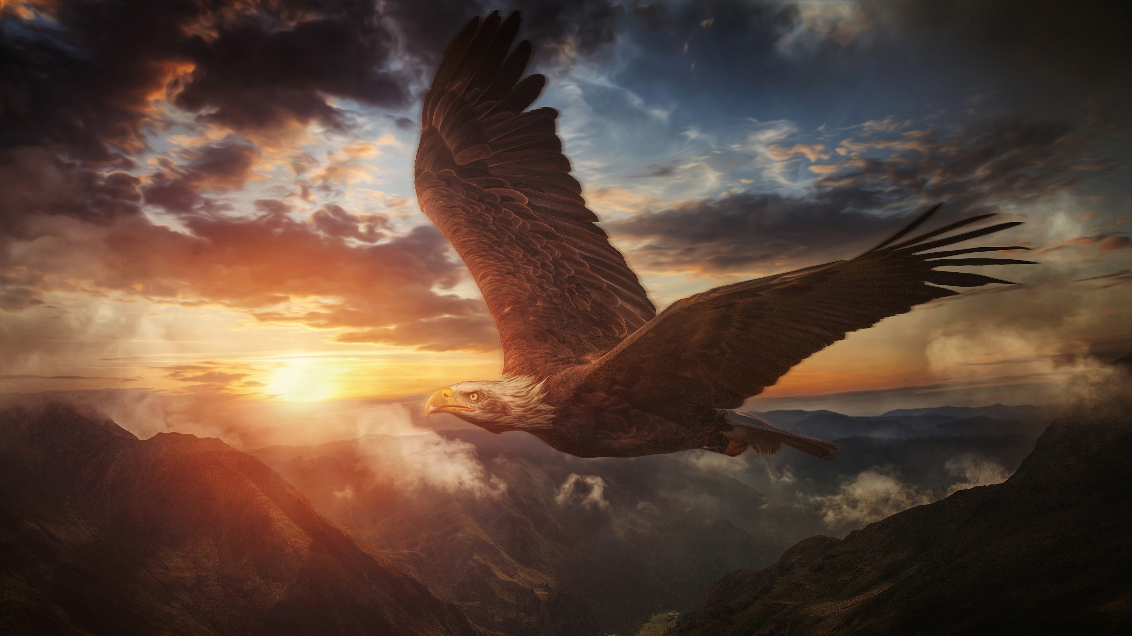 🔥 Free Download Animal Bald Eagle 4k Ultra Hd Wallpaper by @lisas33 | WallpaperSafari