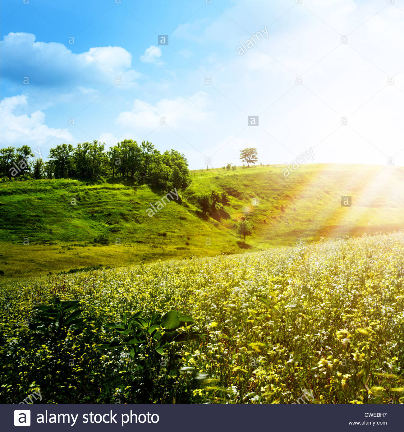 [44+] Afternoon Background | WallpaperSafari