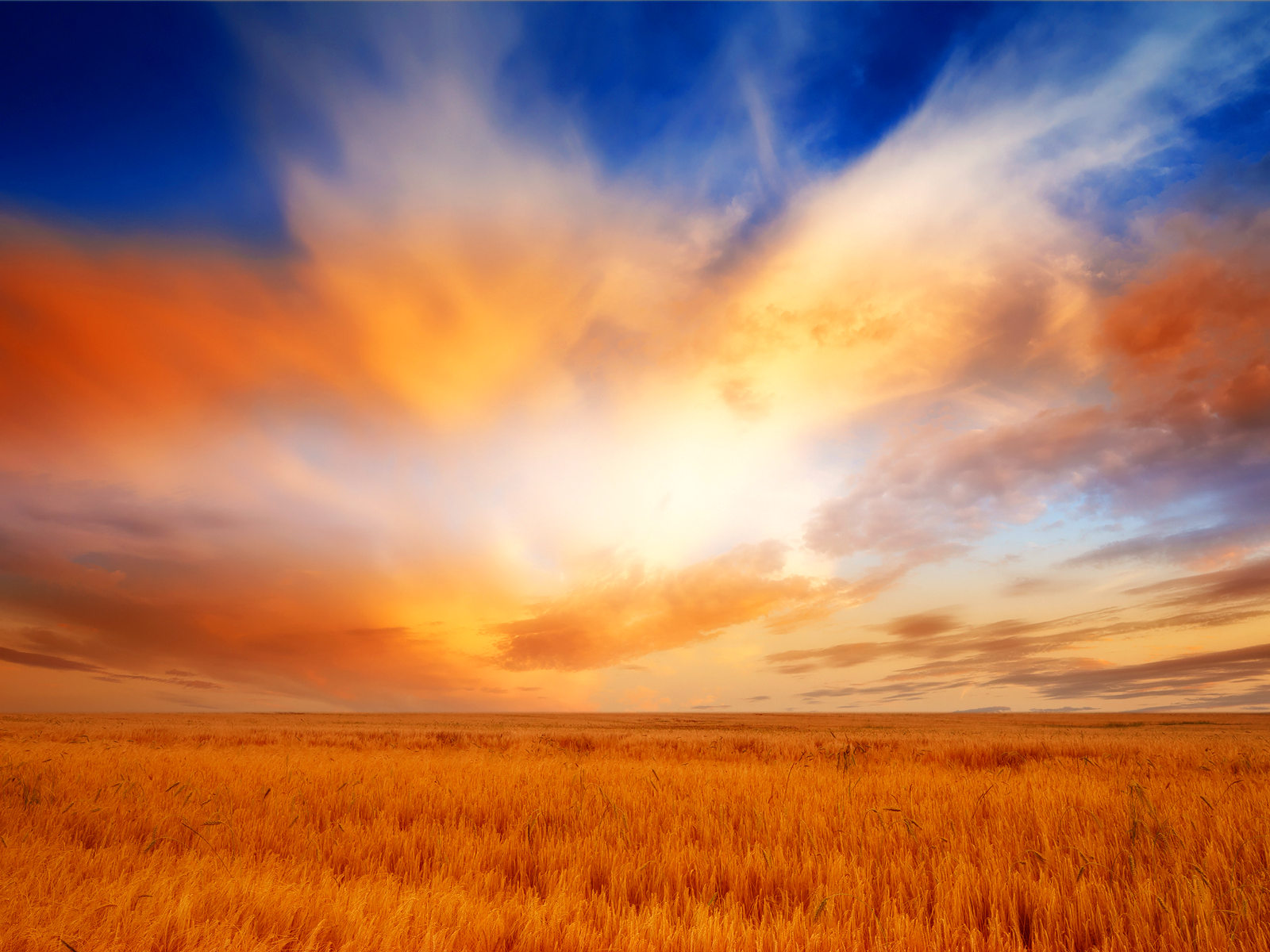 [47+] Midwest Living Wallpaper on WallpaperSafari