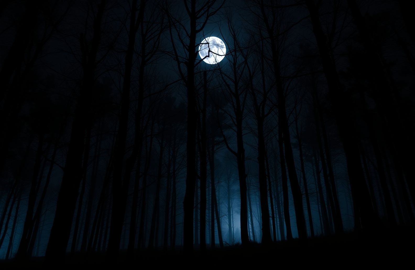 🔥 Free Download Dark Forest With Moon Wallpaper by @mbailey88 ...