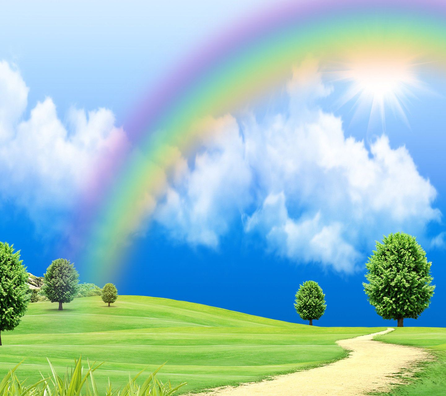 Free Download Have A Nice Day Wallpaper 1440x1280 For Your Desktop
