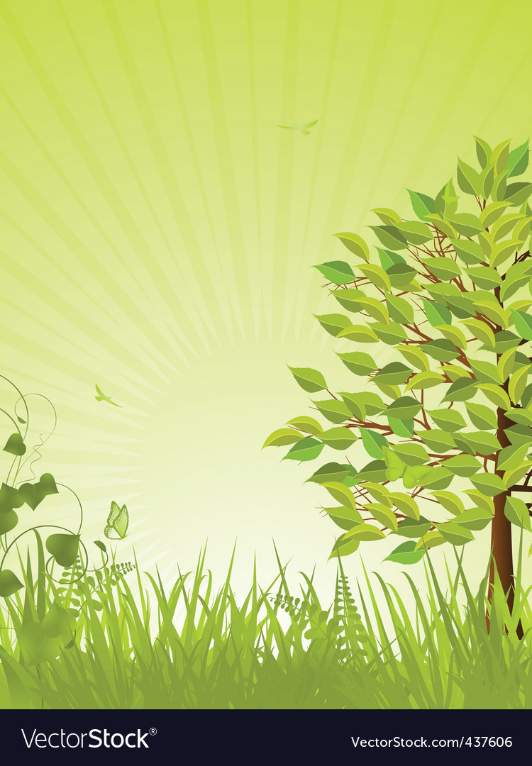 🔥 [40+] Tranquil Backgrounds | WallpaperSafari