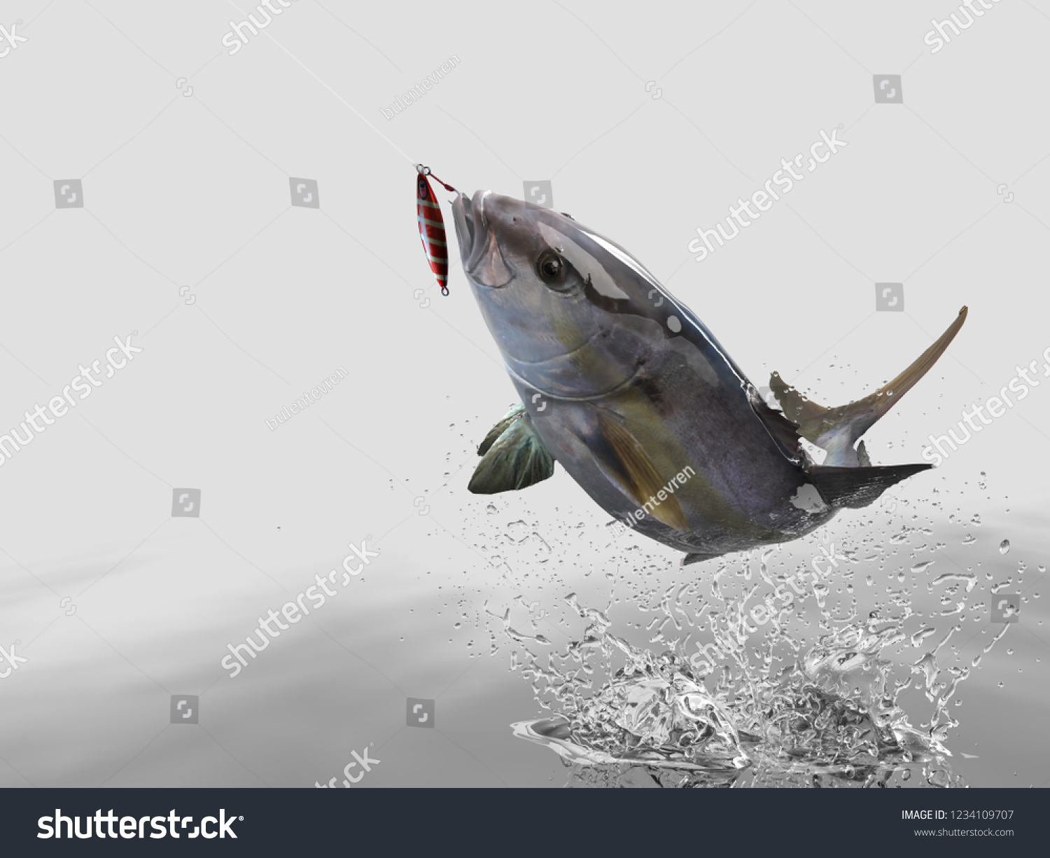 🔥 [32+] Amberjack Background | WallpaperSafari