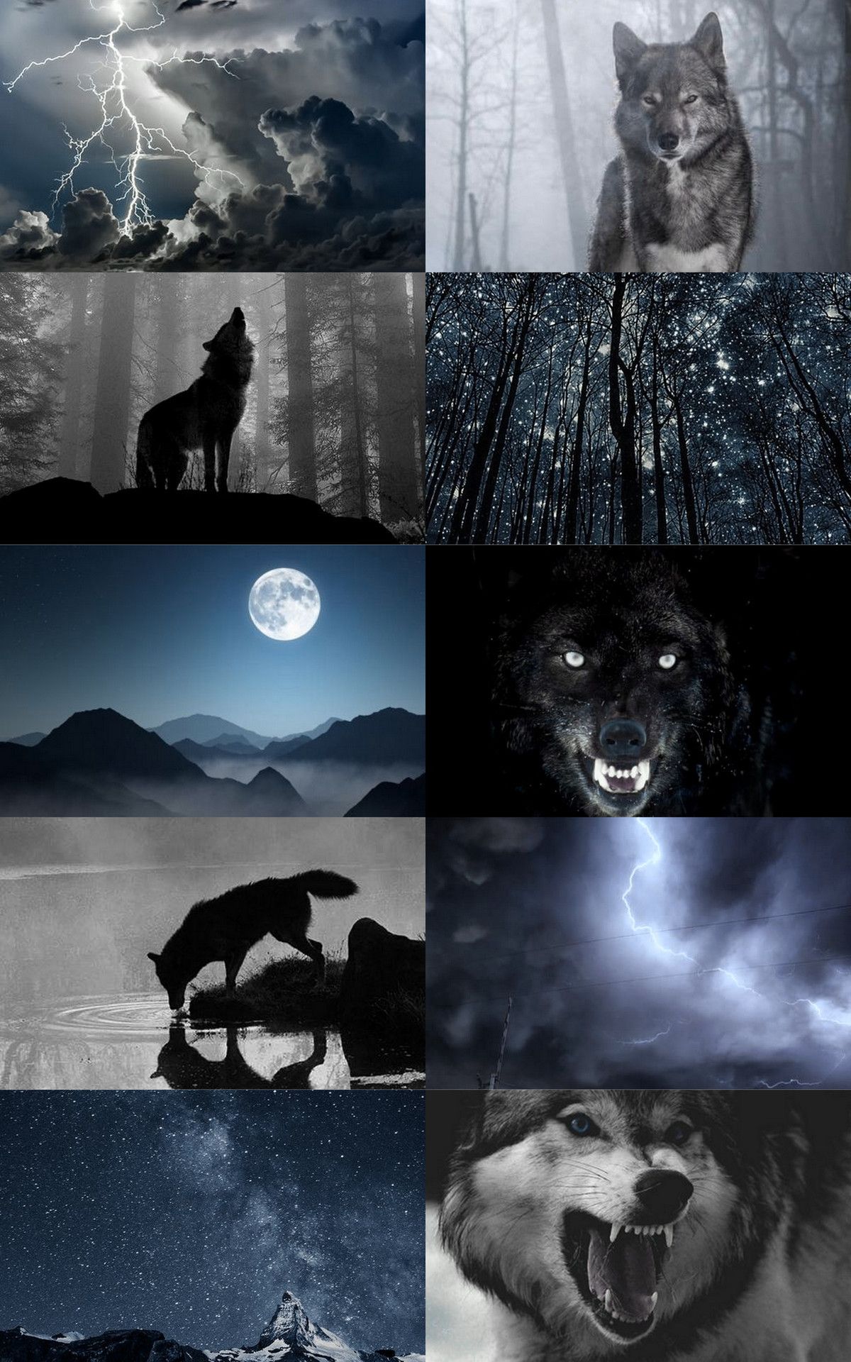 🔥 Free Download Wolf Aesthetic Wallpaper by @autumnb80 | WallpaperSafari