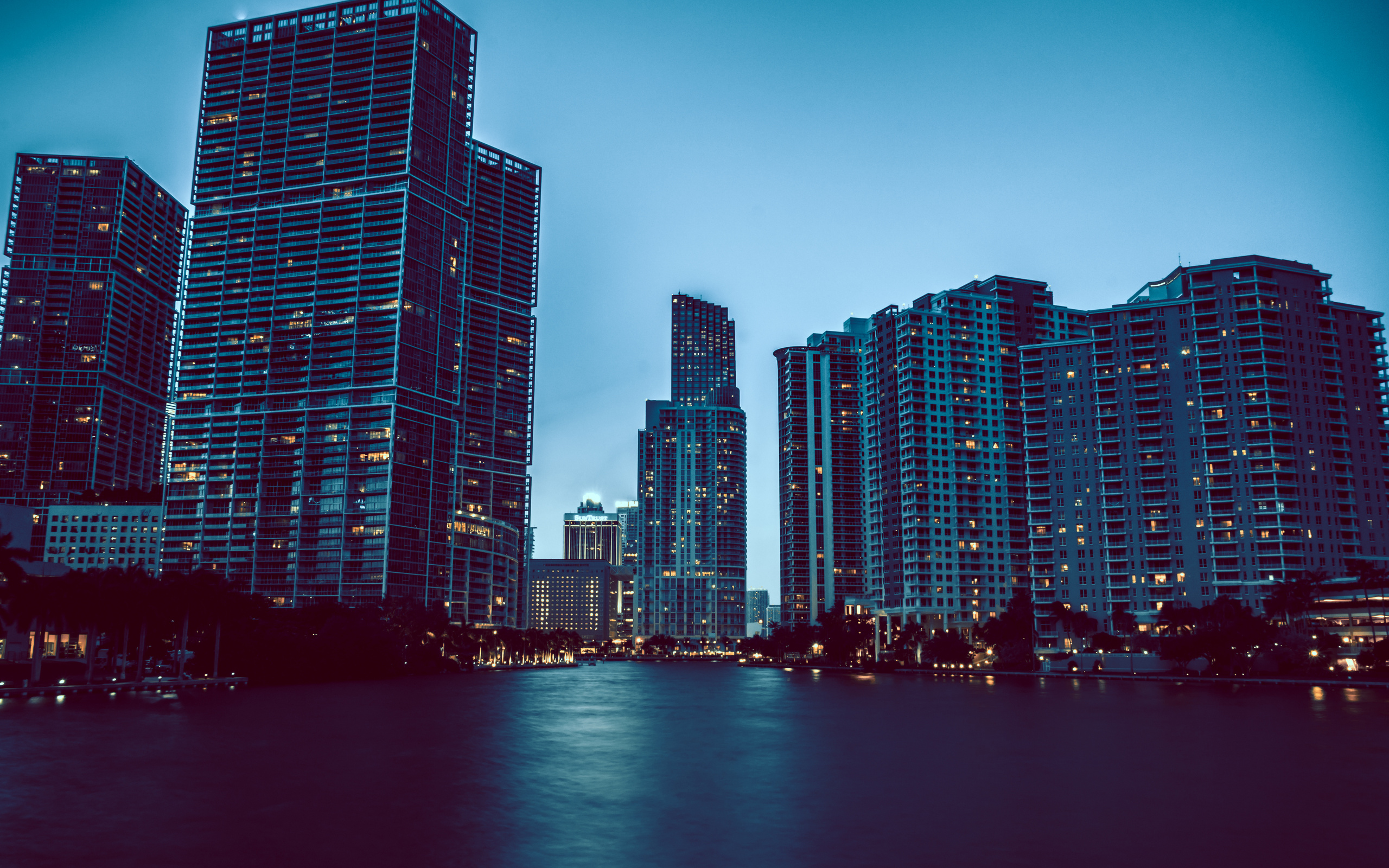 🔥 [40+] Miami Wallpapers | WallpaperSafari