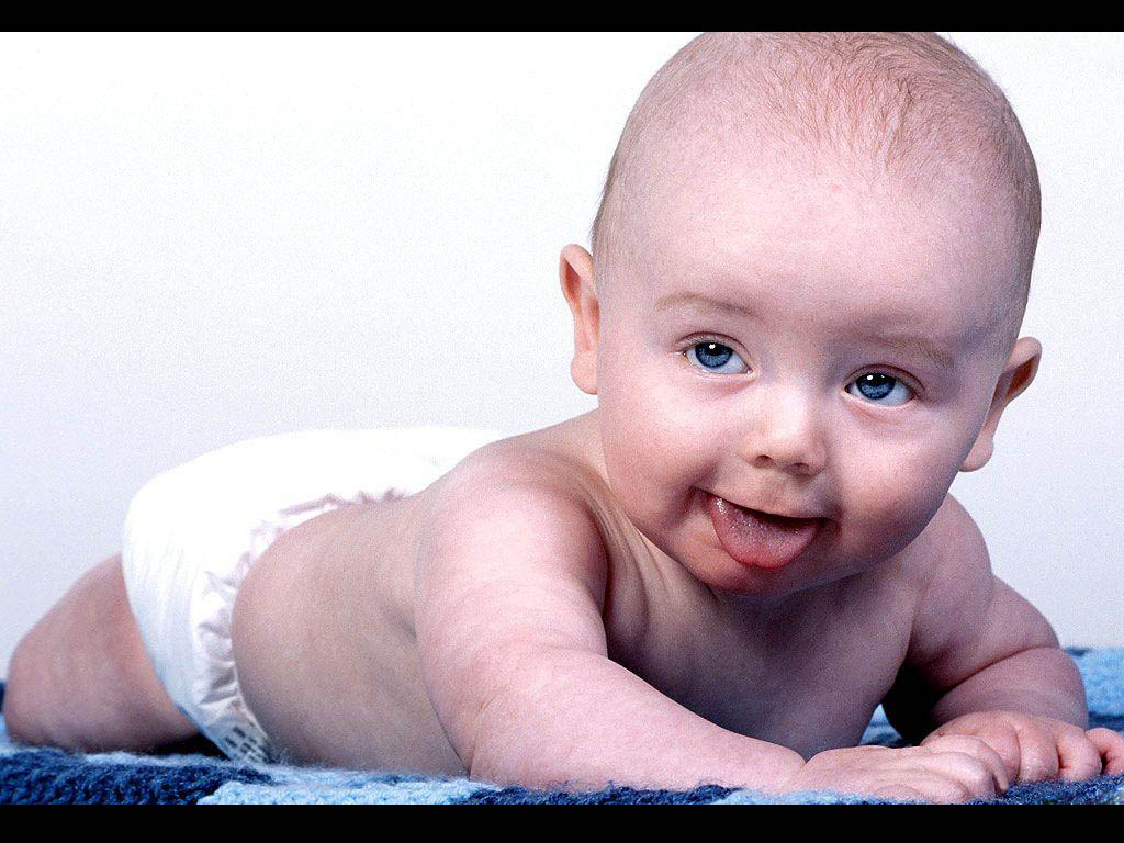 Free Download Funny Babies Wallpapers Funny Babies Desktop Wallpapers 