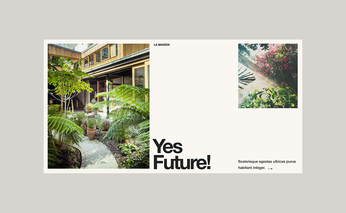 🔥 Free Download J R Me Dreyfuss Wallpaper by @tnewman | WallpaperSafari